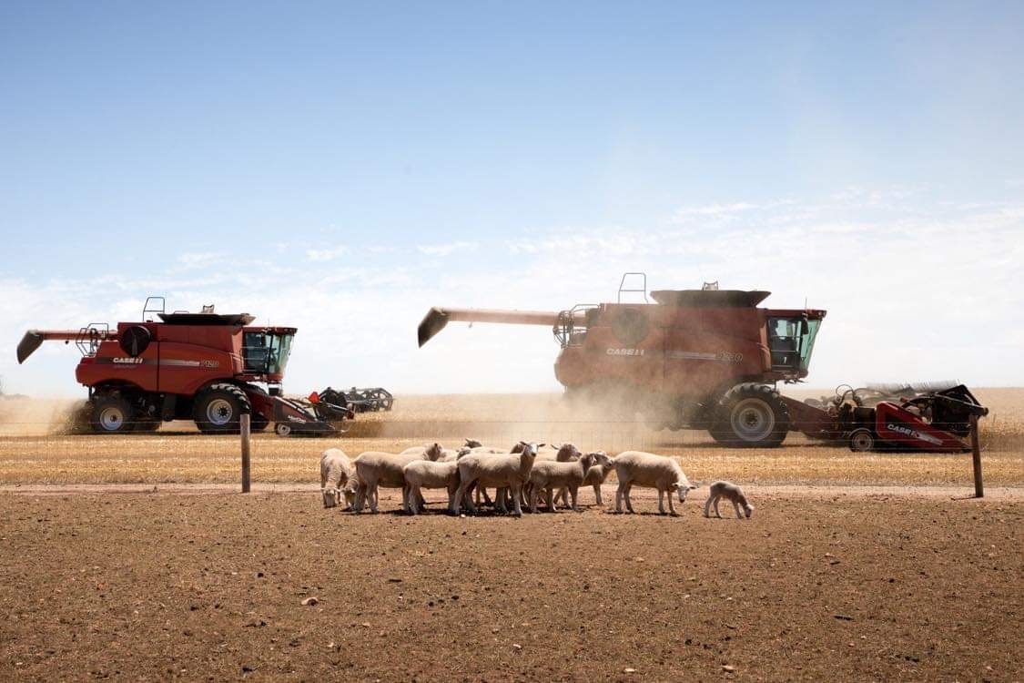 Our Story | Safe Ag Systems