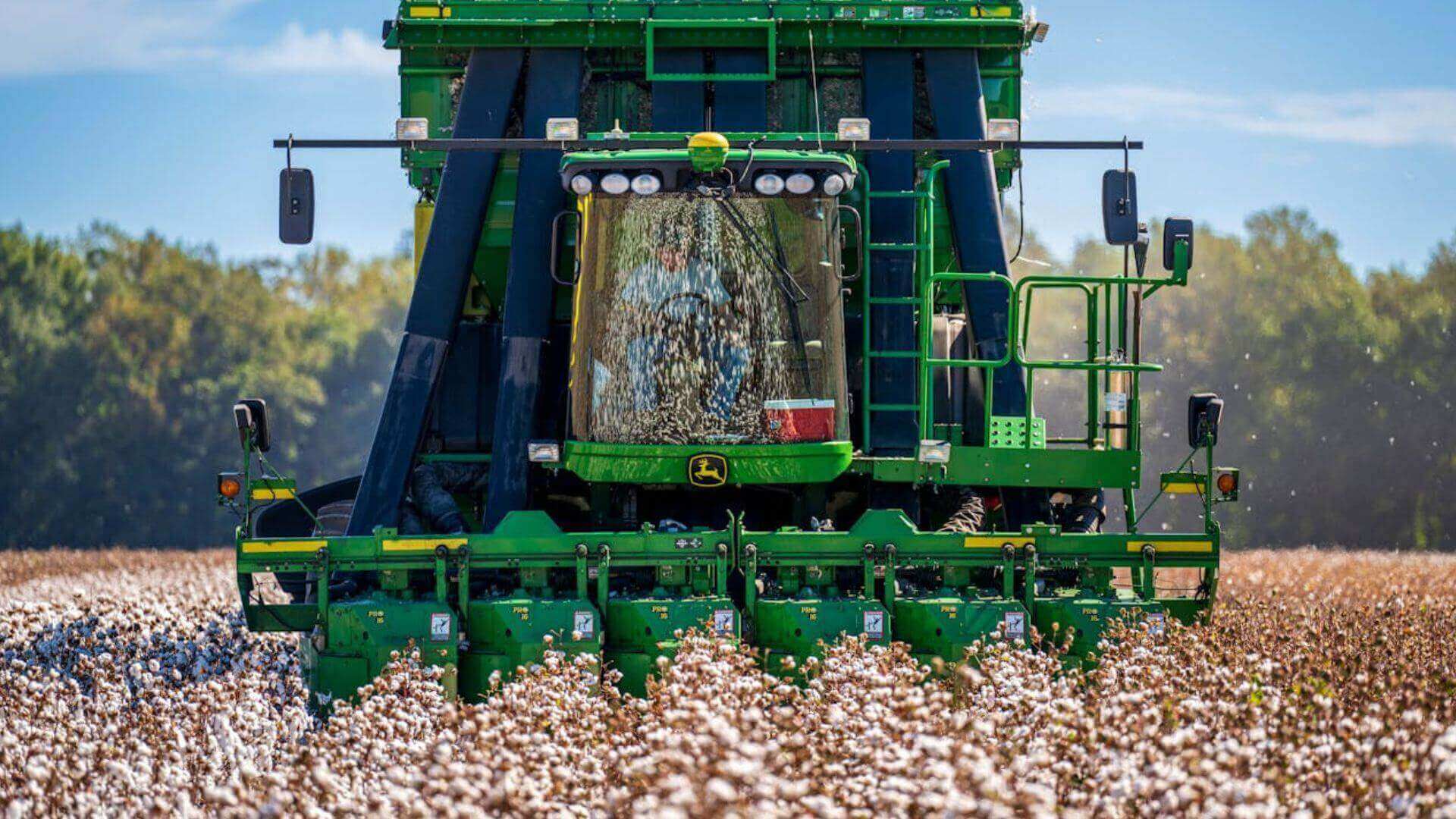 Top 5 Hazards in Cotton Farming