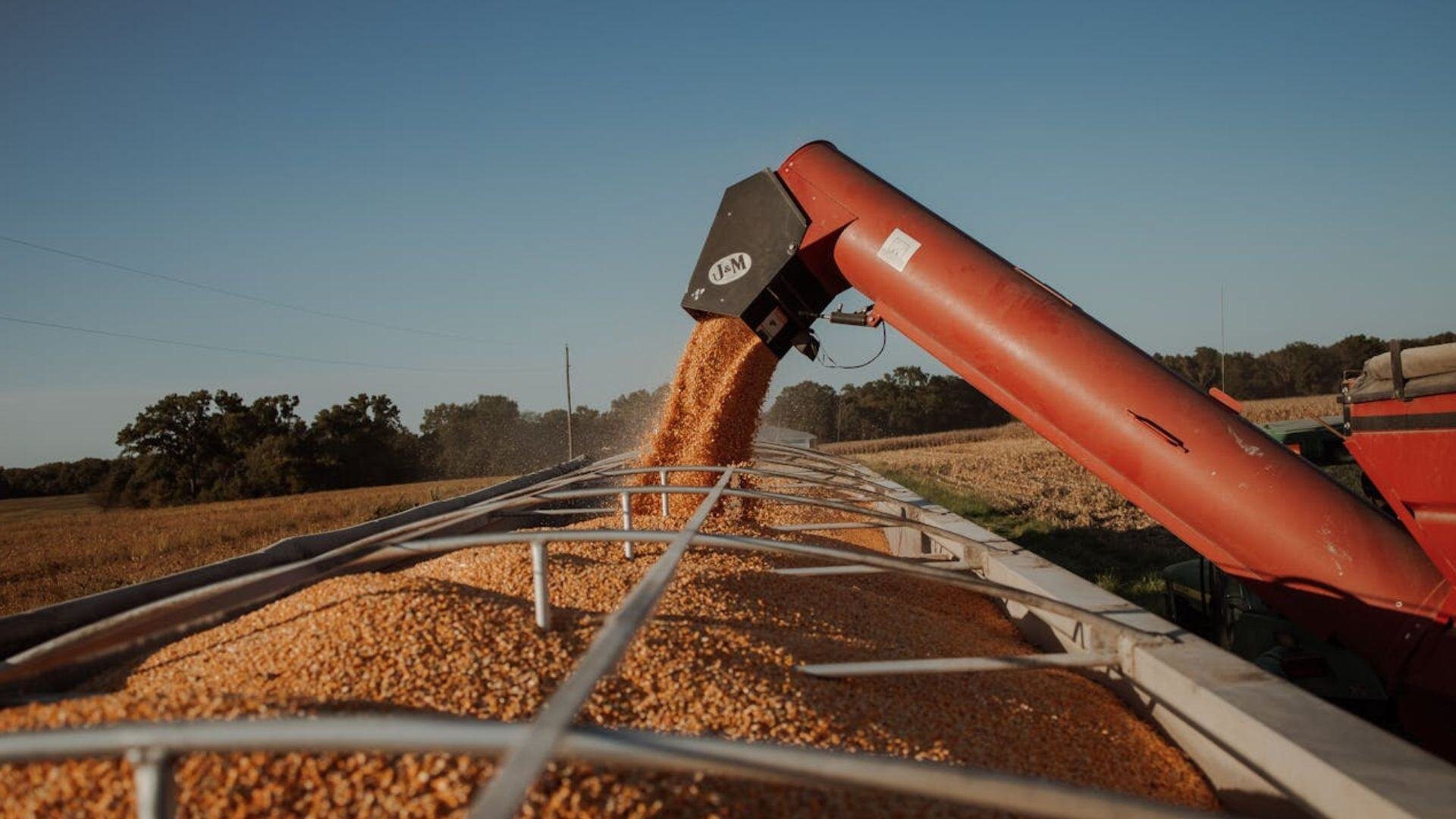Grain Farming | Safe Ag Systems