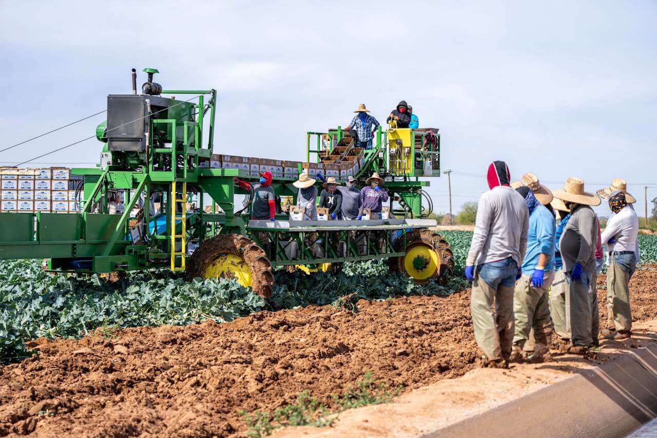 Top 5 Hazards in Cotton Farming