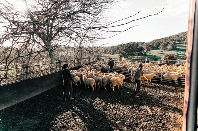Let's get ready to work on farm