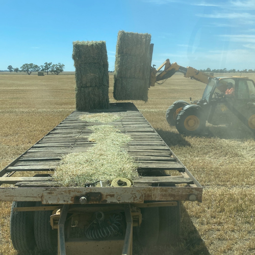 Top 10 Telehandler Hazards